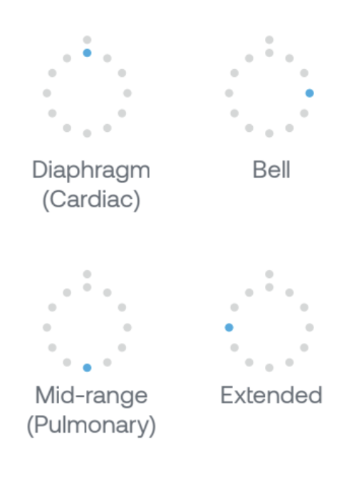 DUO™ ECG + Digital Stethoscope (2nd Gen) overview and care – Eko ...